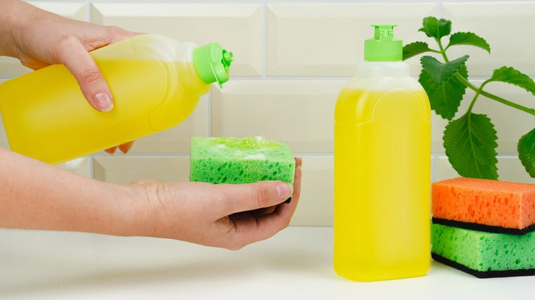 All You Need to Know About Dish Washing Liquid – Access cleaning